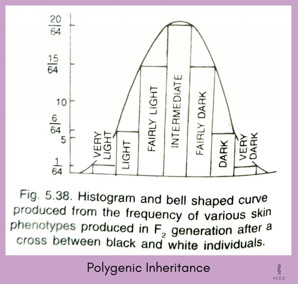 Is polygenic inheritance quantitative in nature? - My Biology Dictionary