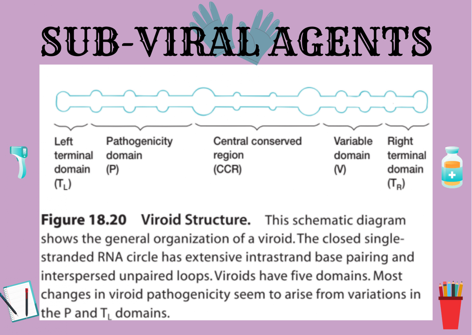 How much do you know about viroids and virusoids? - My Biology Dictionary