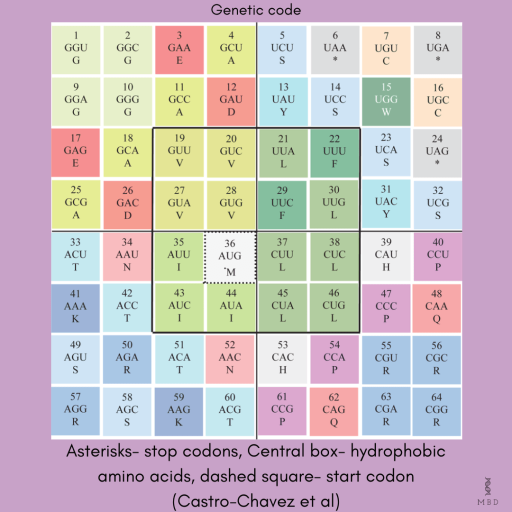 Genetic code - a divine writing - My Biology Dictionary