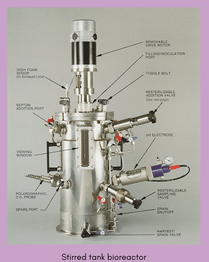 Types Of Bioreactors My Biology Dictionary Types Of Bioreactors My Biology Dictionary