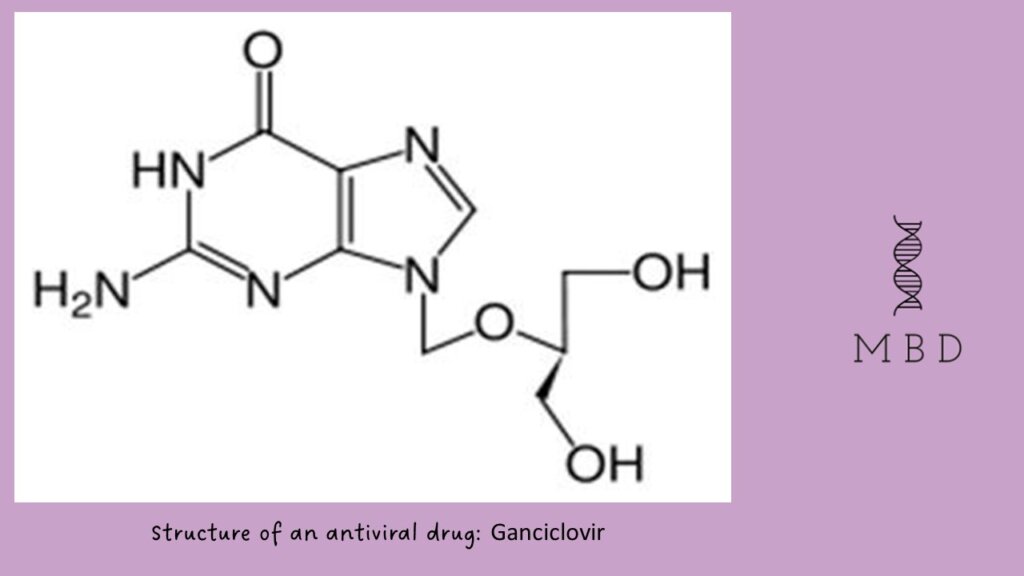 Antiviral drugs: Function and Types - My Biology Dictionary