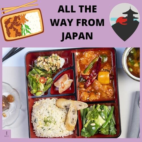 What is a Bento box? - My Biology Dictionary