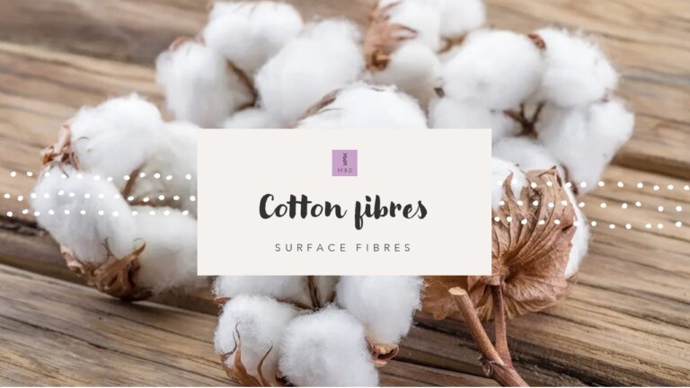 Cotton Fibres - The King of Fibres - My Biology Dictionary