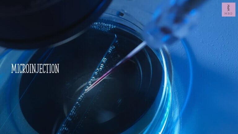 Microinjection: Method of gene transfer