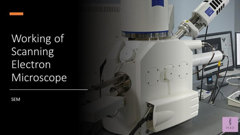 Scanning Electron Microscope: SEM (Working, Principle, Parts)