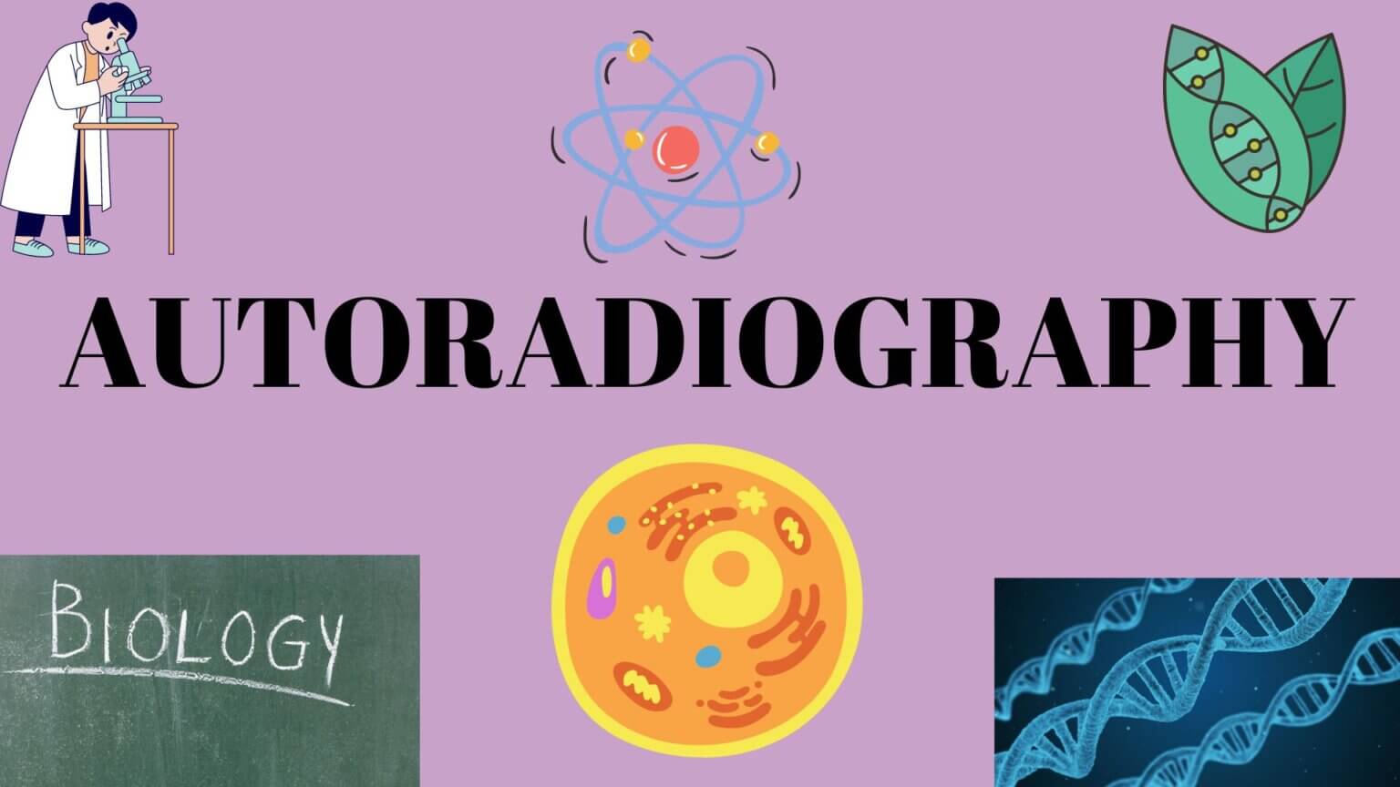 Autoradiography- All you need to know! - My Biology Dictionary