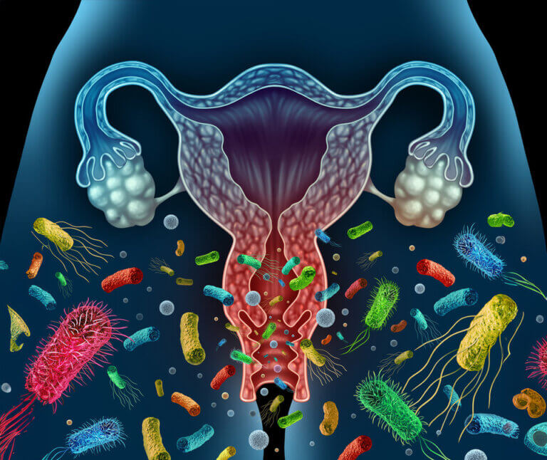 The Dynamic Ecosystem: Understanding the Vaginal Microflora