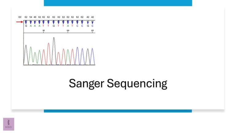 Sanger Sequencing: Concept and Applications - My Biology Dictionary